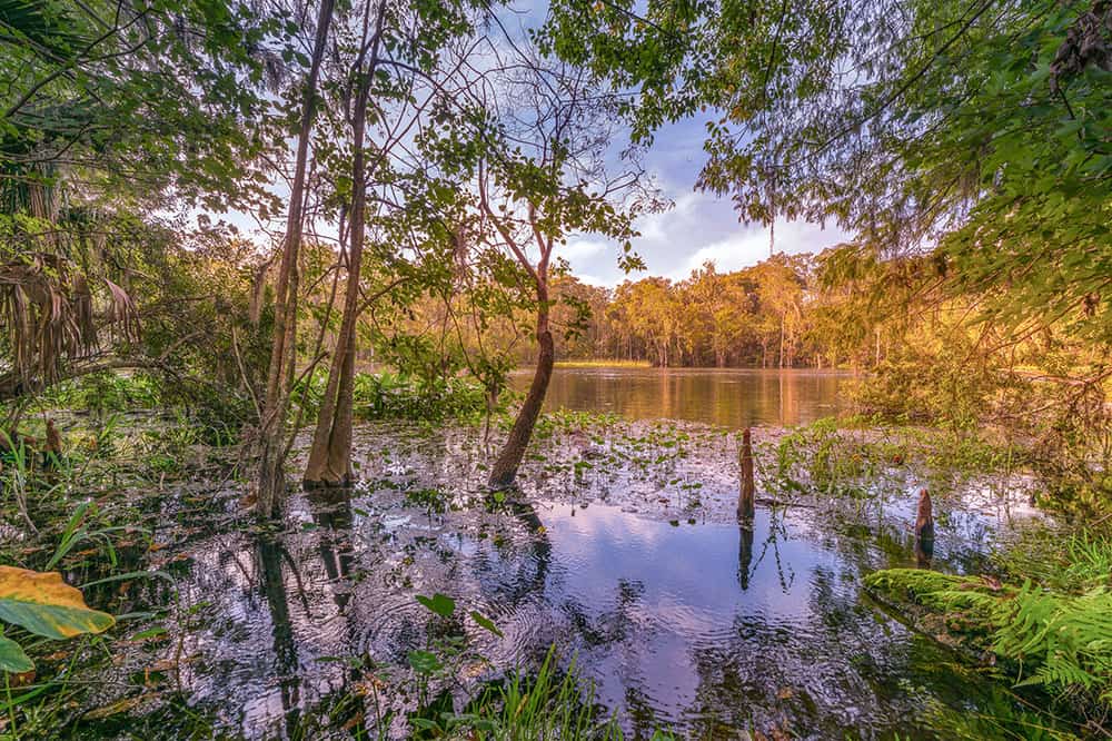 A Trip to Florida's Newest State Park is A Must This Summer